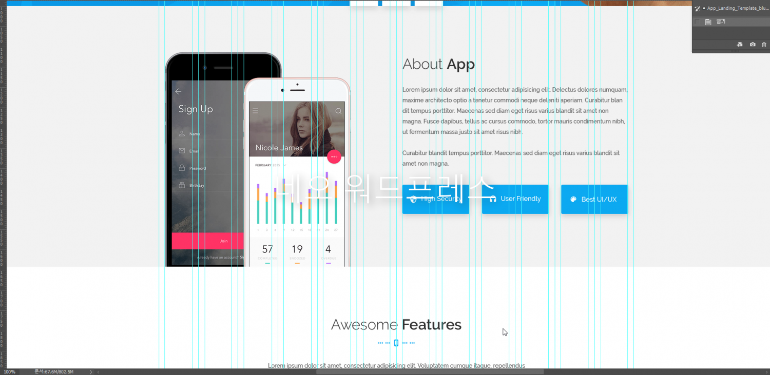 Landingpage41csszindexfirstframe 네오워드프레스